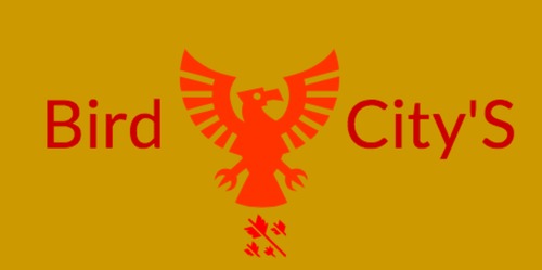 BIRD CITY'S | A Custom Shoe concept by Ashton $. Dowe