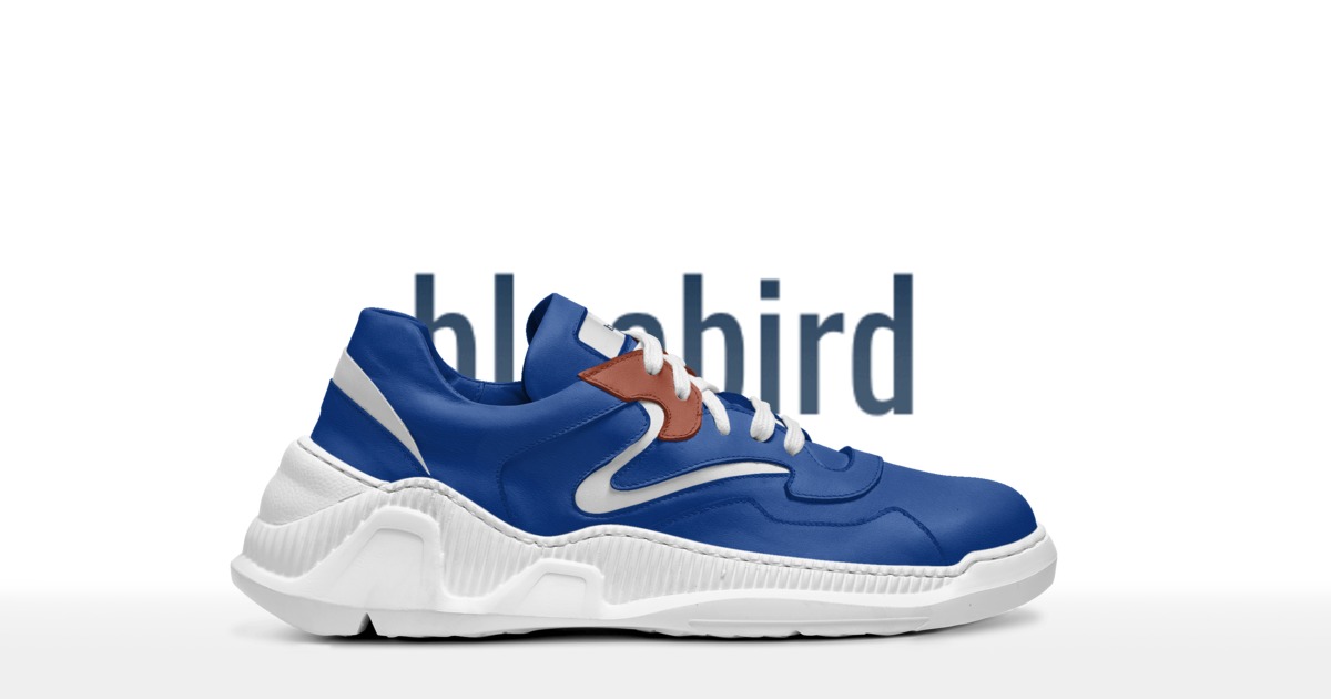 bluebird | A Custom Shoe concept by Matthew Arrowood