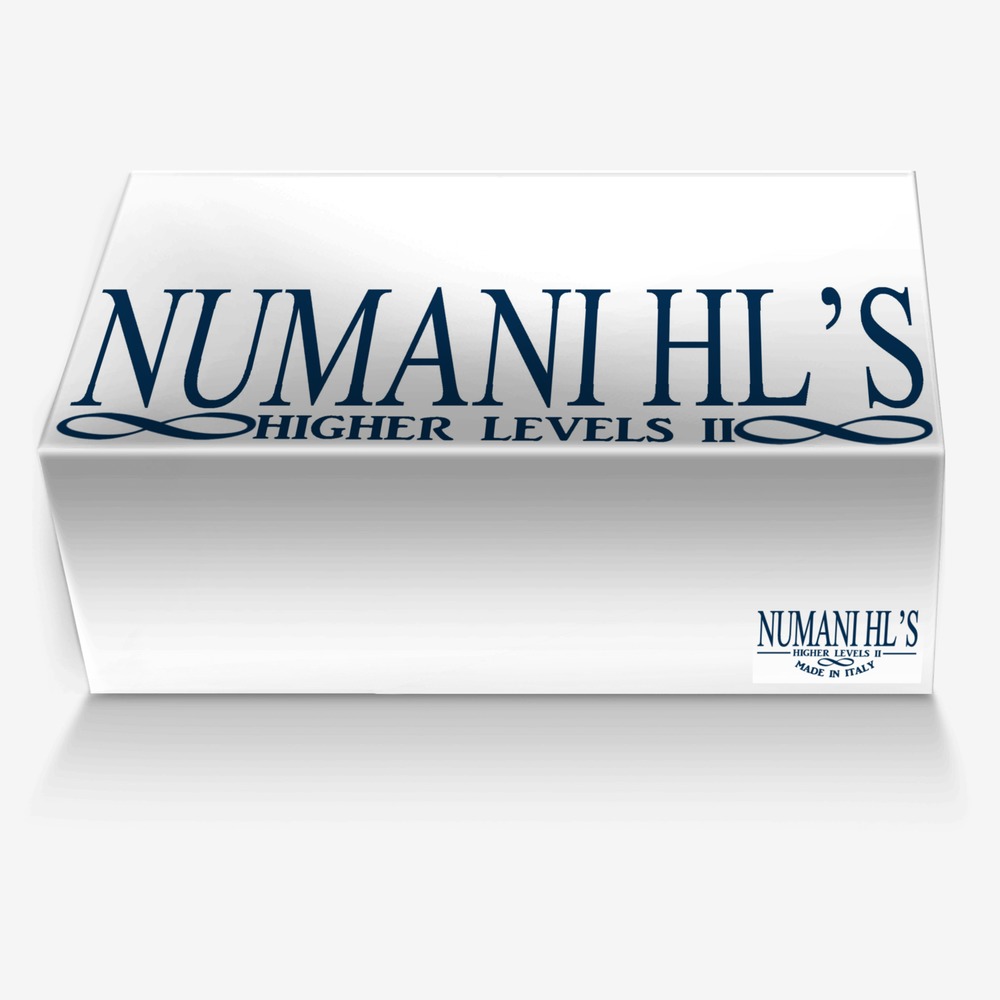 NUMANI HL'S II | A Custom Shoe concept by Numani Clothing & Co.