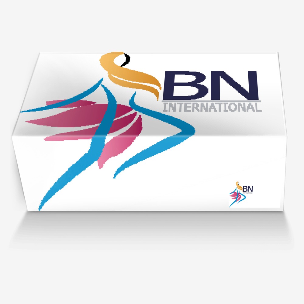 BN international | A Custom Shoe concept by Bisma Tariq