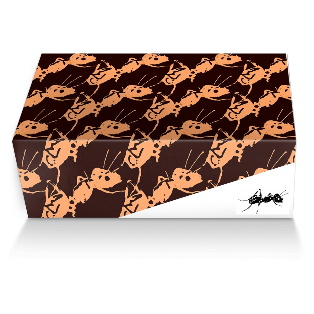 ANTZ | A Custom Shoe concept by Derick Kurtz
