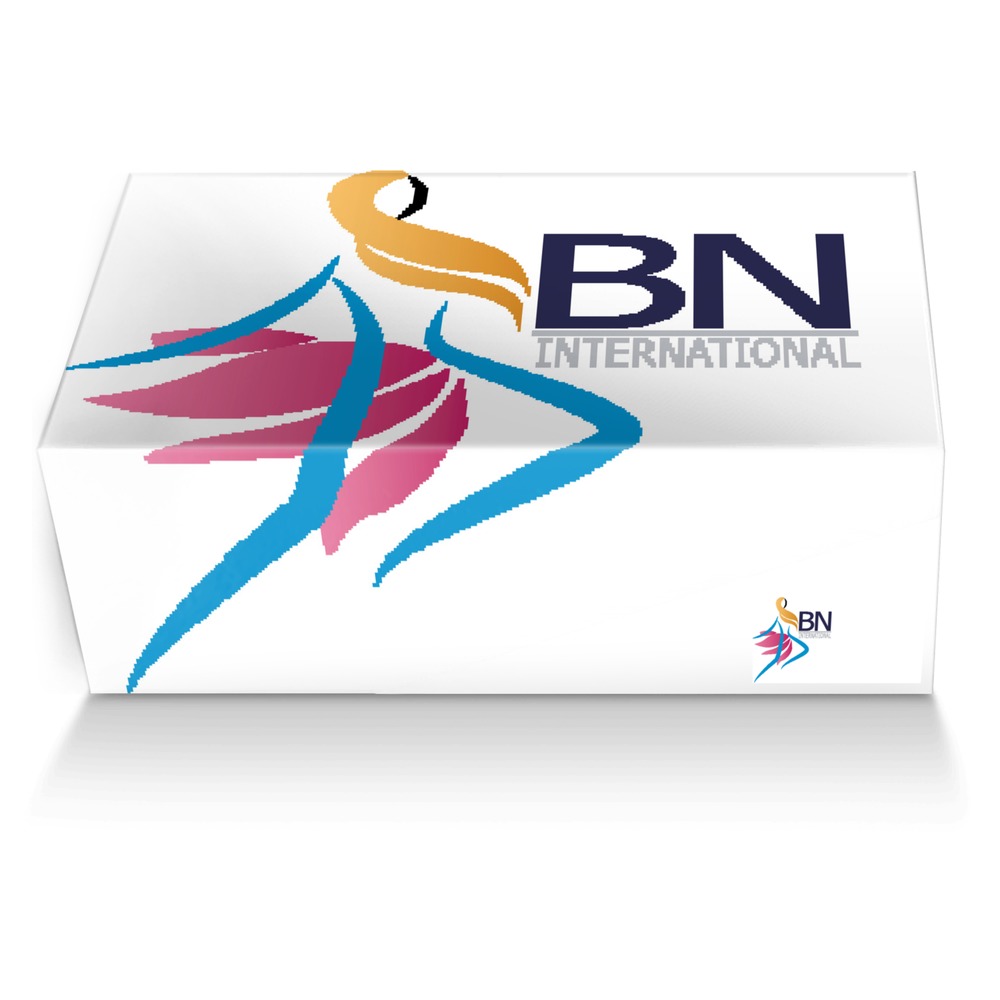 BN international | A Custom Shoe concept by Bisma Tariq