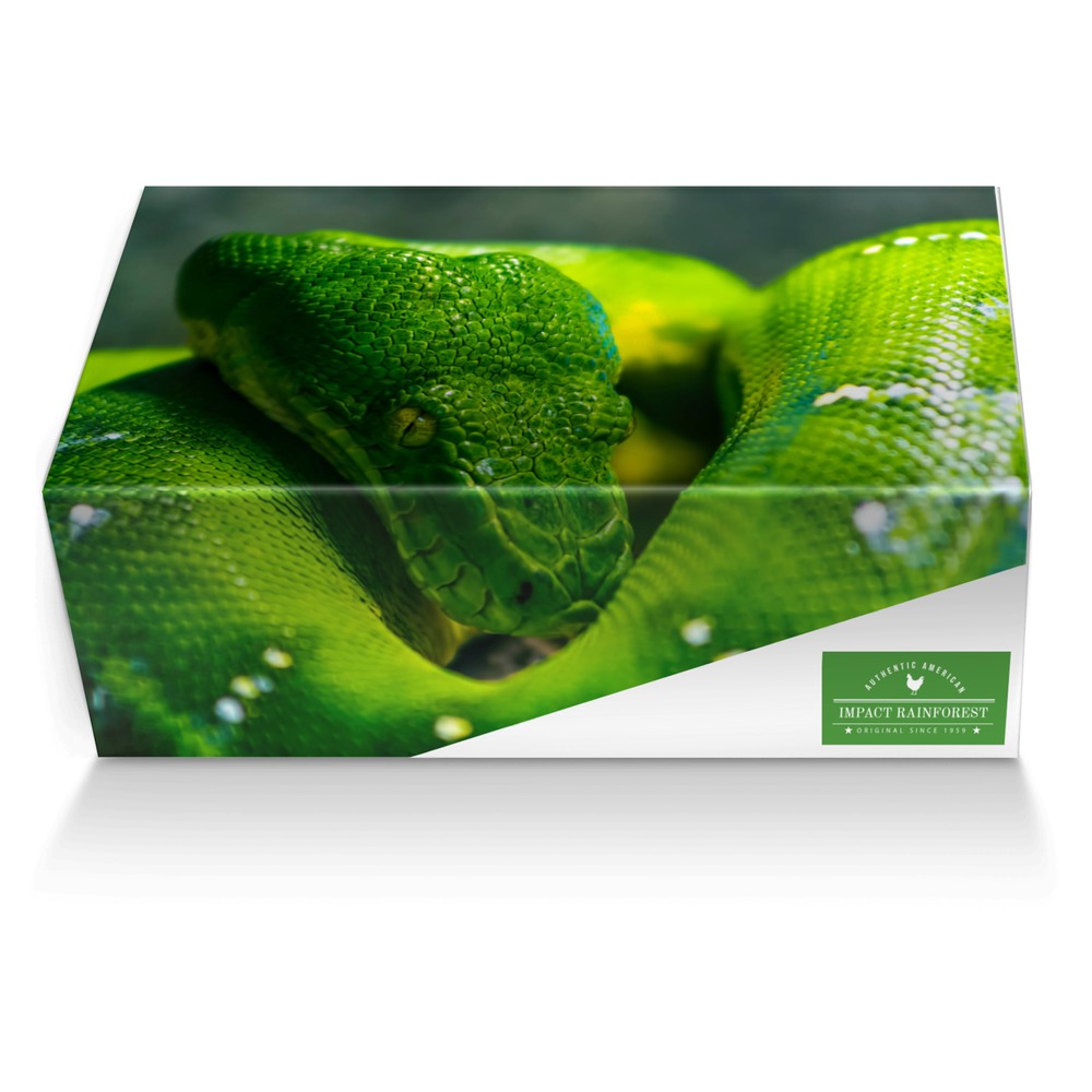 IMPACT RAINFOREST | A Custom Shoe concept by Otis Porritt