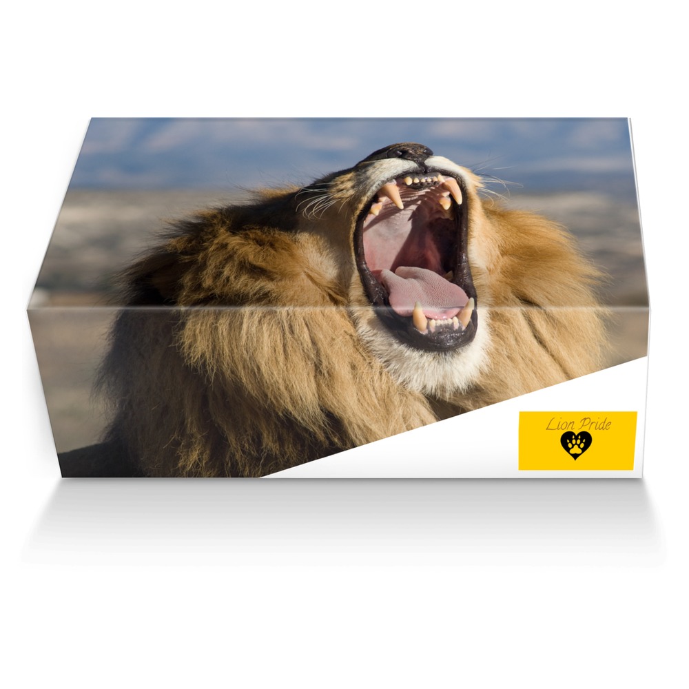 LionPride | A Custom Shoe concept by Michael M