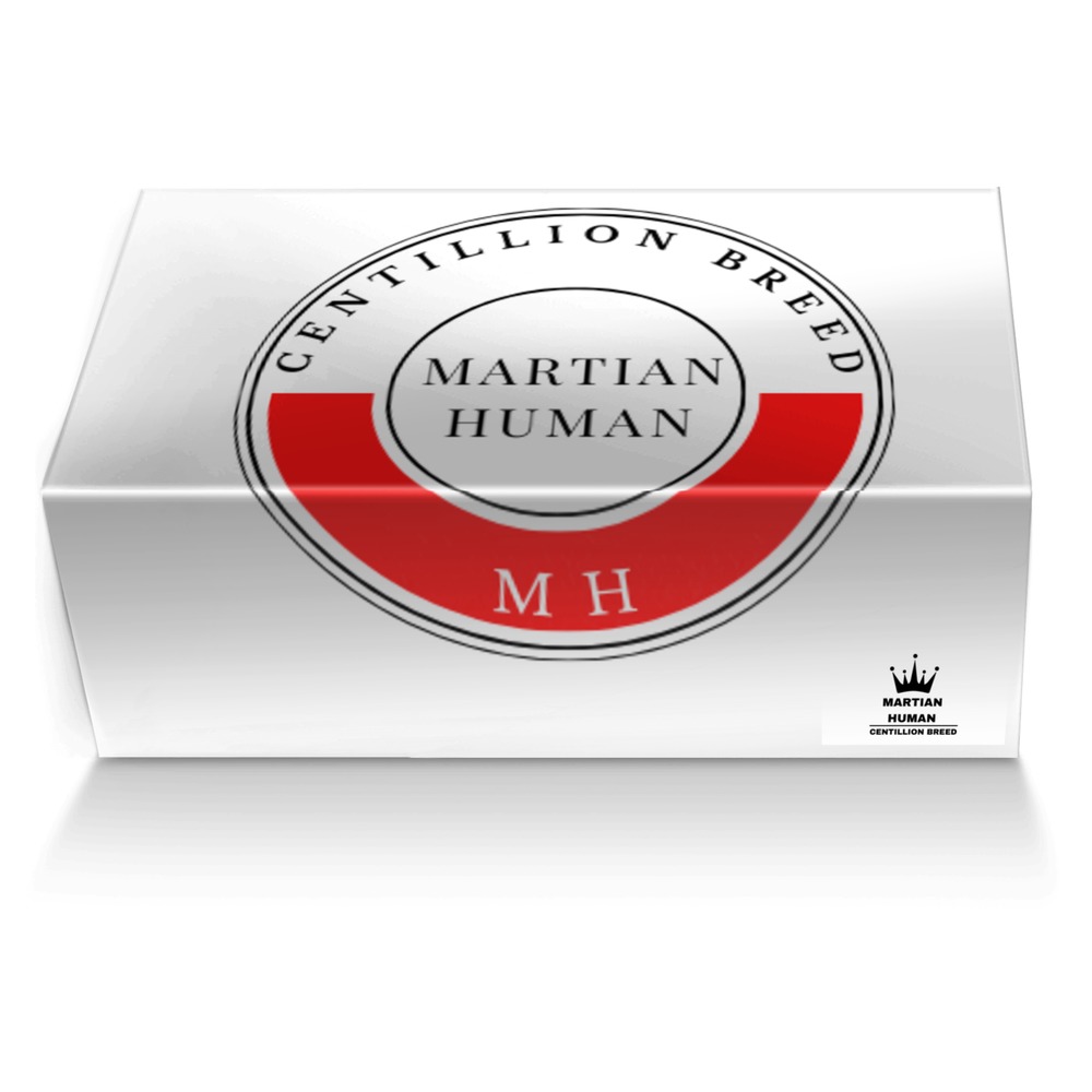 MARTIAN HUMAN | A Custom Shoe concept by Daniel Coquillon