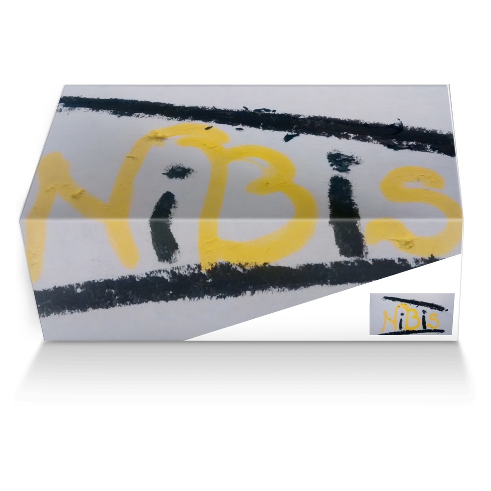 NiBis | A Custom Shoe concept by Messina Norris