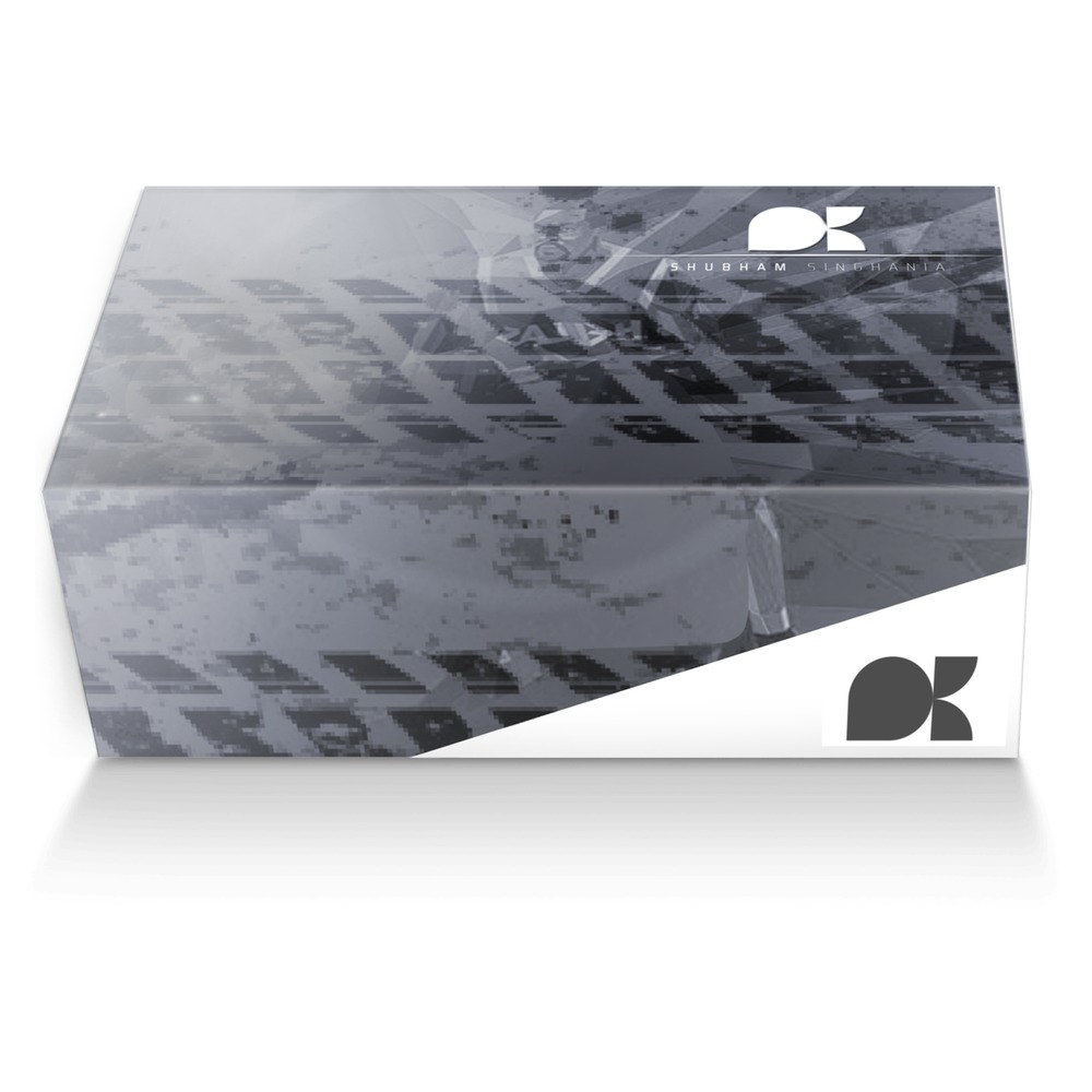 PK | A Custom Shoe concept by Shubham Singhania