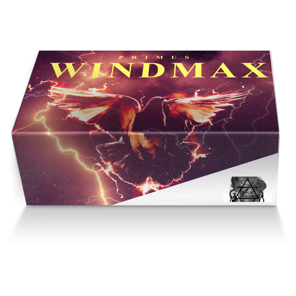 Primus Windmax | A Custom Shoe concept by Kharran Beacham