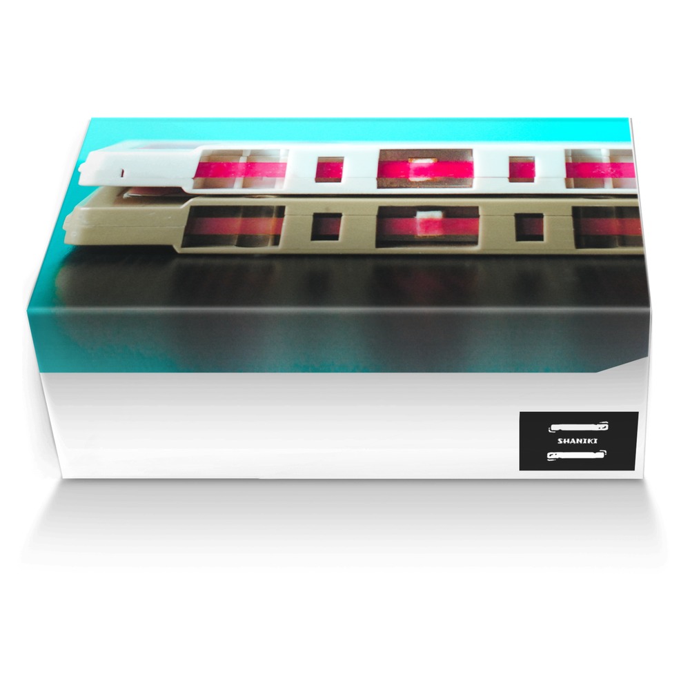 shaniki | A Custom Shoe concept by Shaniki Smith