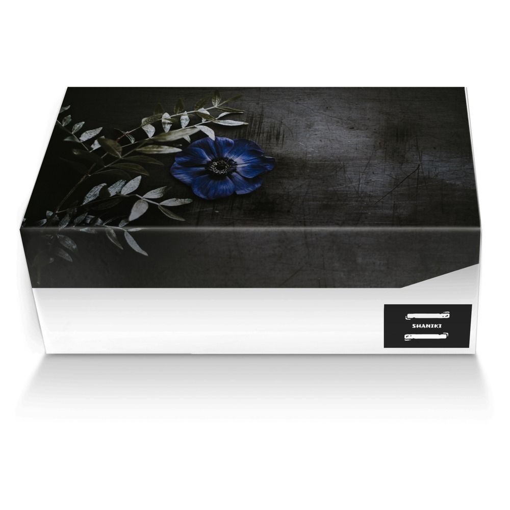 shaniki | A Custom Shoe concept by Shaniki Smith