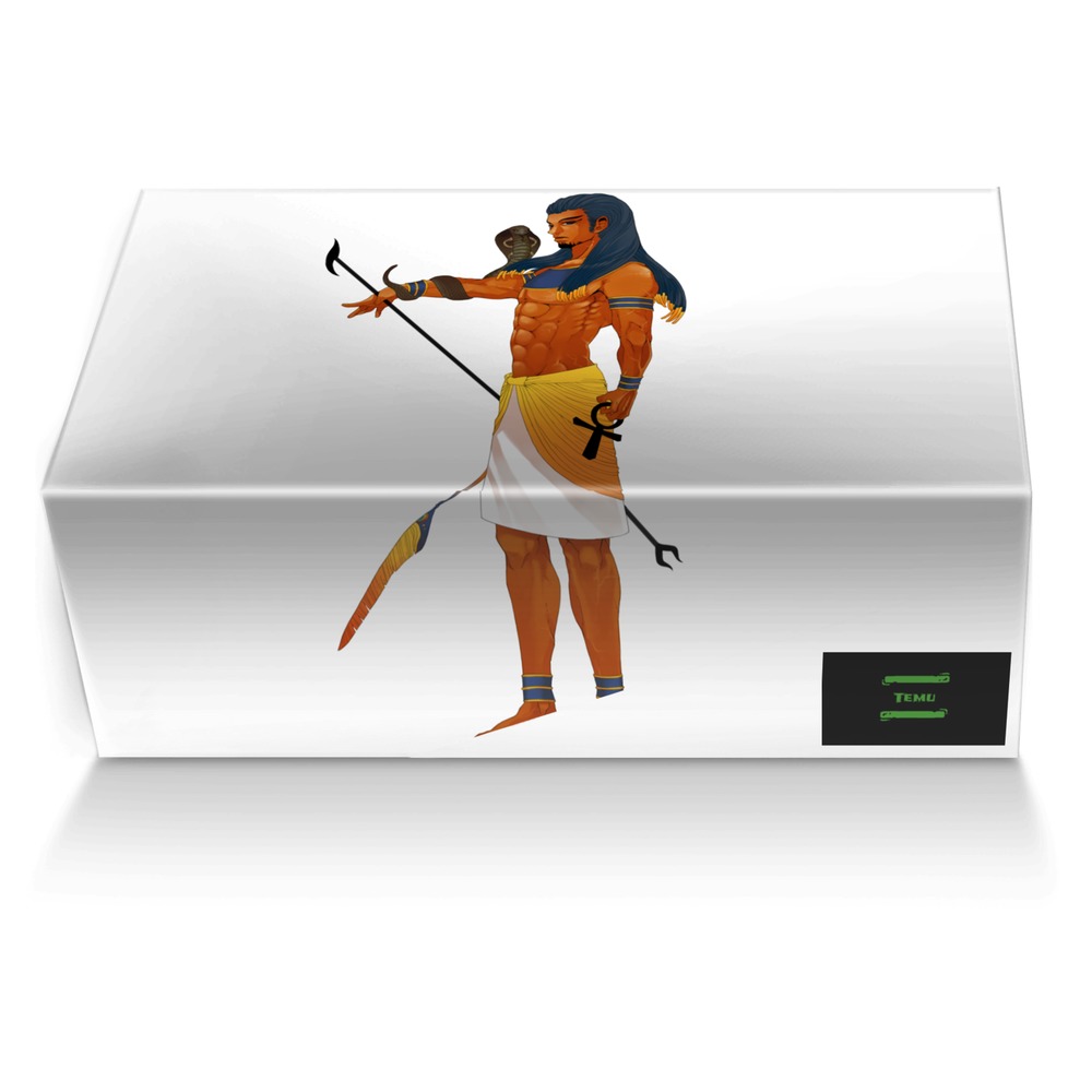 Temu | A Custom Shoe concept by Edward Gleason