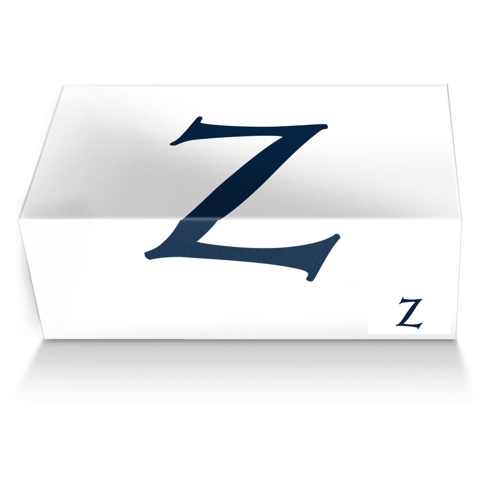 Zazou | A Custom Shoe concept by Stéphane Juban
