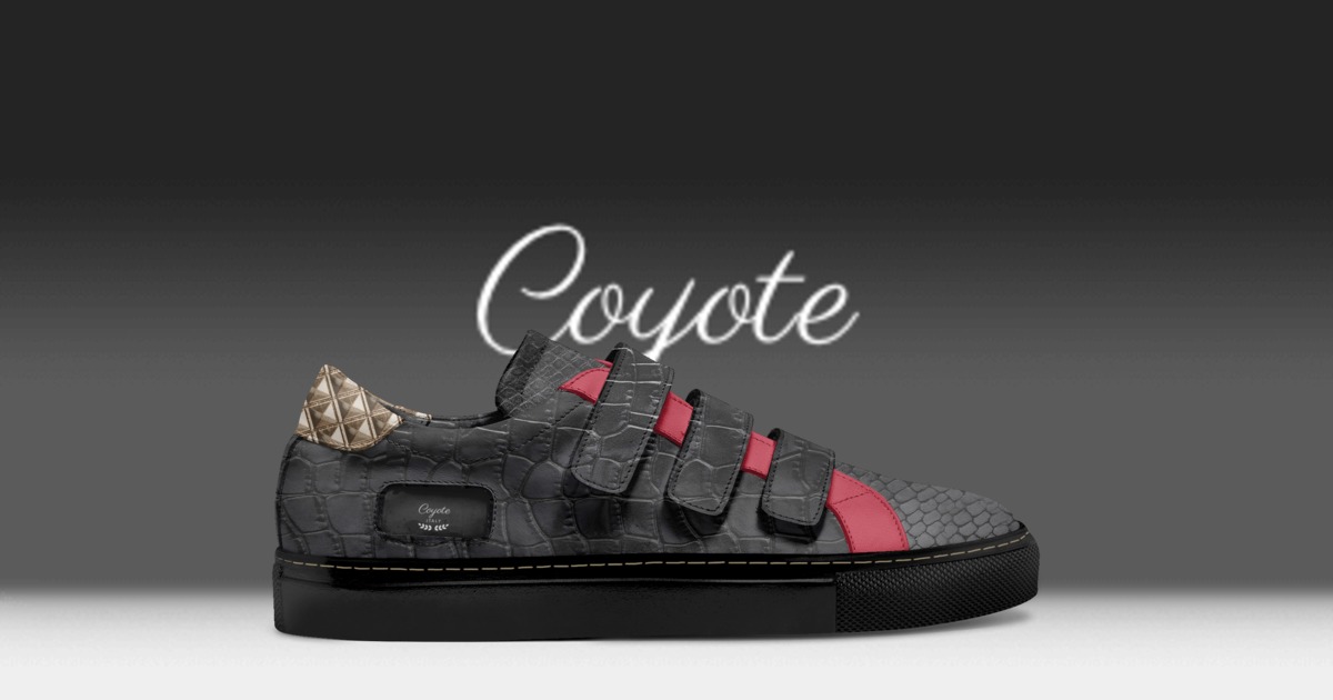 Coyote | A Custom Shoe concept by Andre Jordan