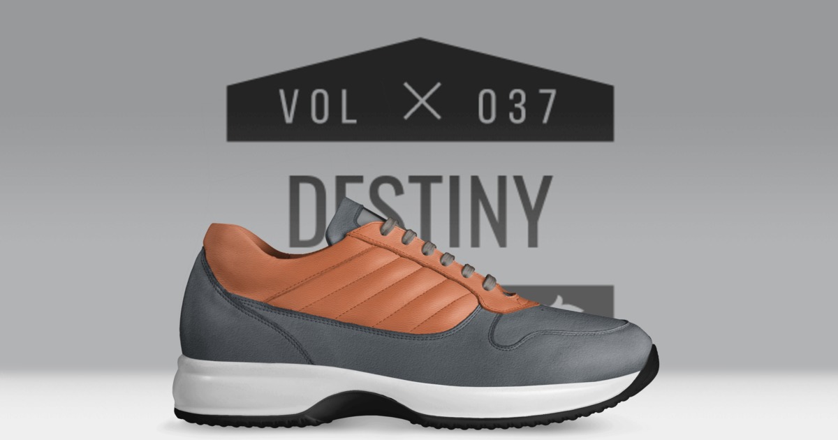 Destiny | A Custom Shoe concept by Cameron