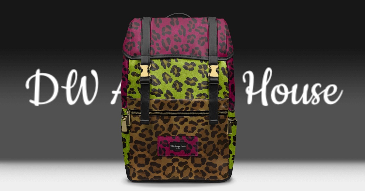 DW Animal House | A Custom Shoe concept by Diana Joe