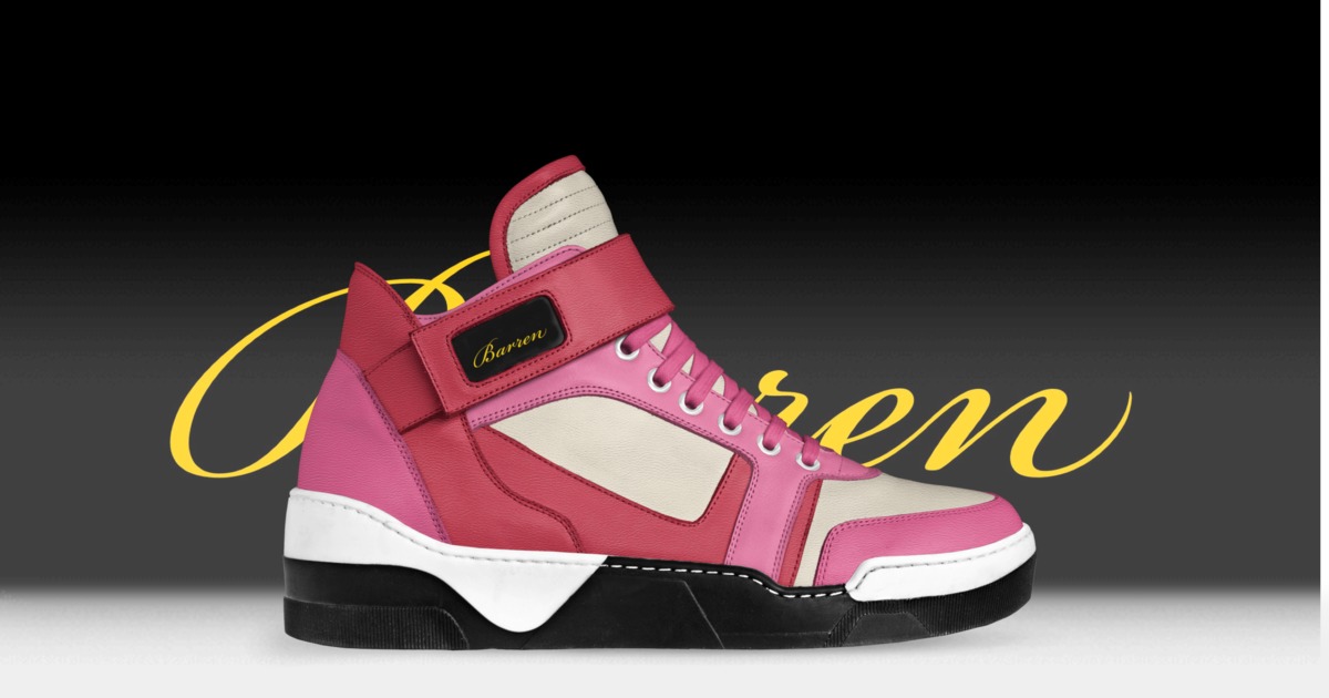 Rose force | A Custom Shoe concept by Jamee Barren
